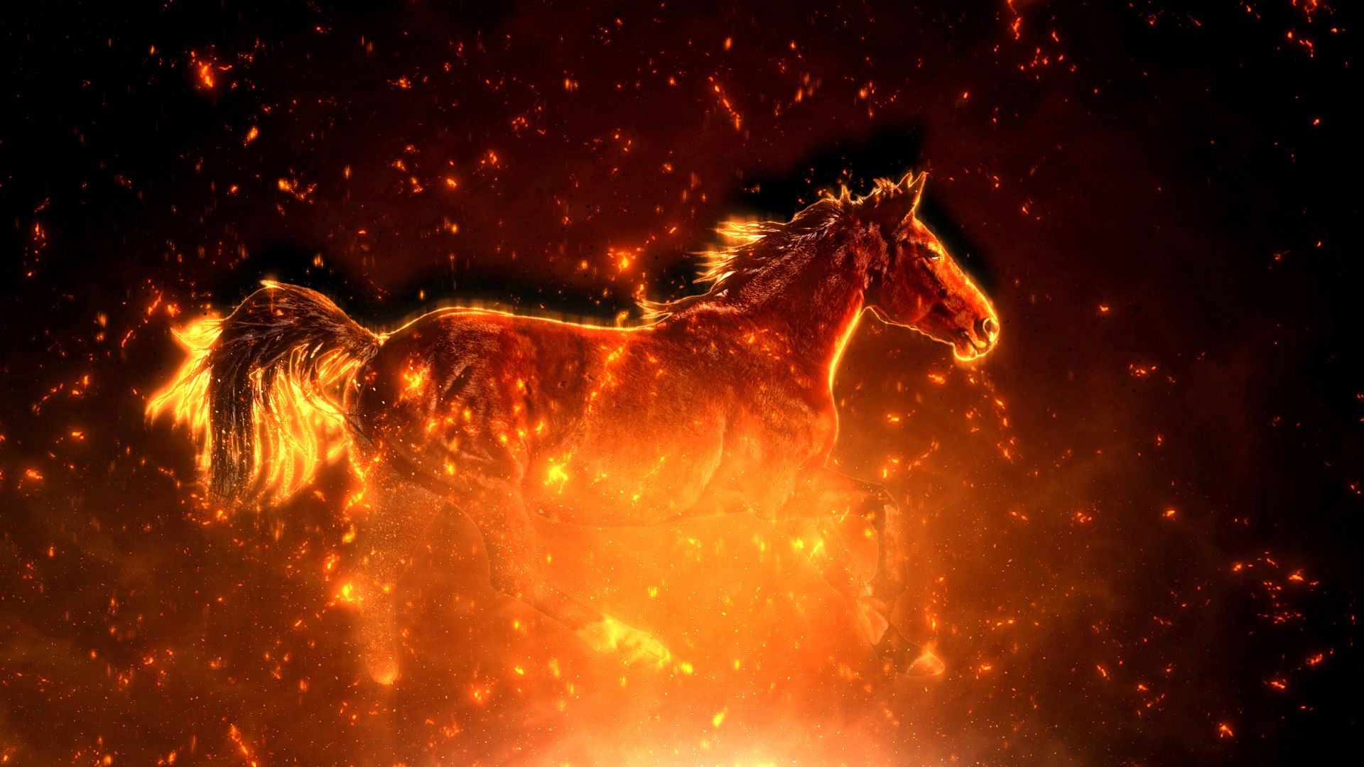 How the Year of the Fire Horse Impacts Each Astrological Sign
